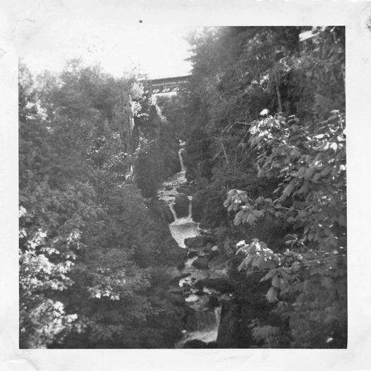 Tangle Stepouts – The Tiny Tangler